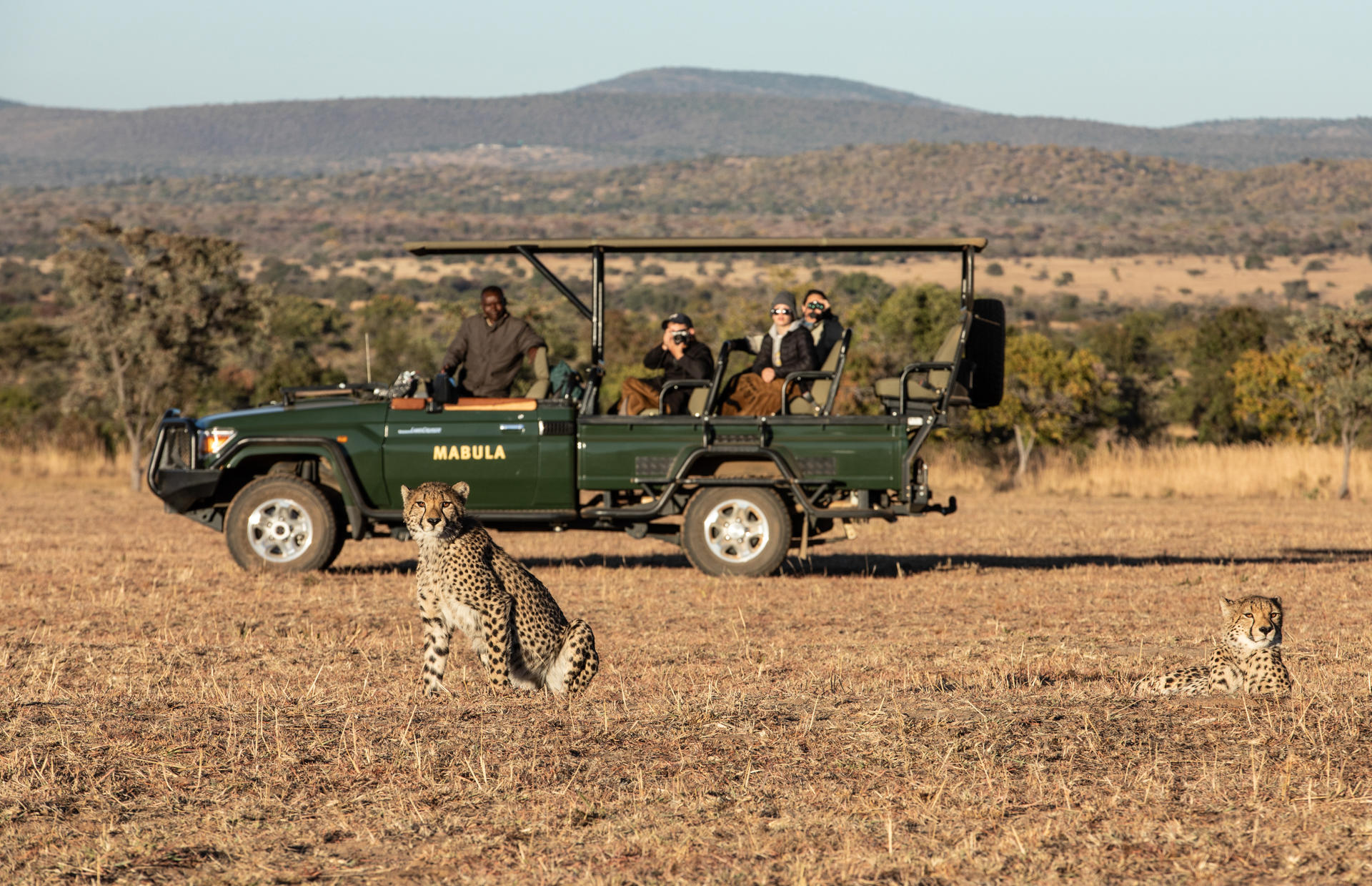 Signature Safaris – WildEarth Travel
